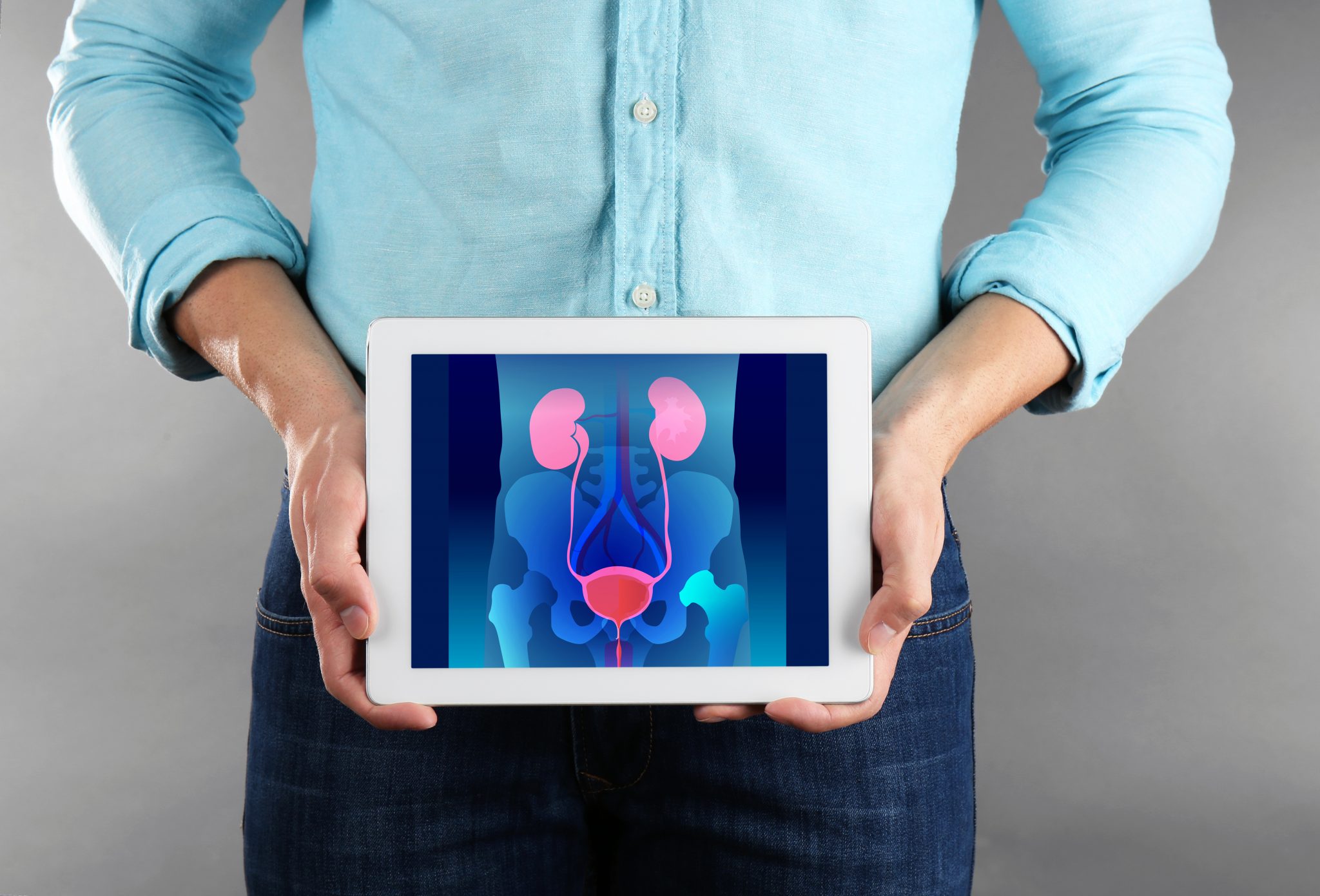 The Connection Between Prostate Health and Kidney Function – Bee Well ...